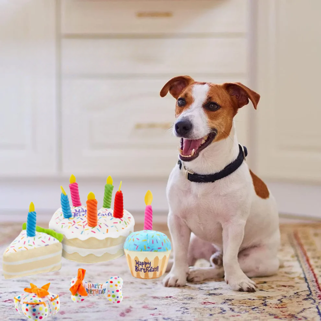 Hundegeburtstagstorte mit integriertem Quietscher – Fluffy Adventures ...